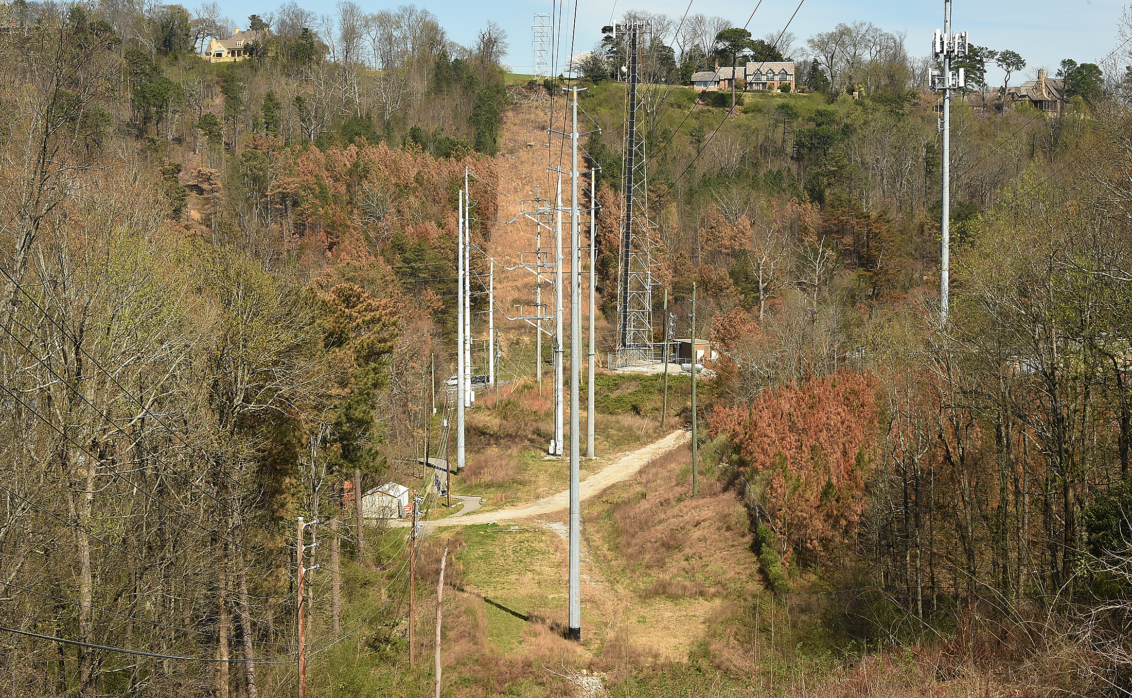 Trees appear to be dying near Shades Mountain Filter Plant - al.com