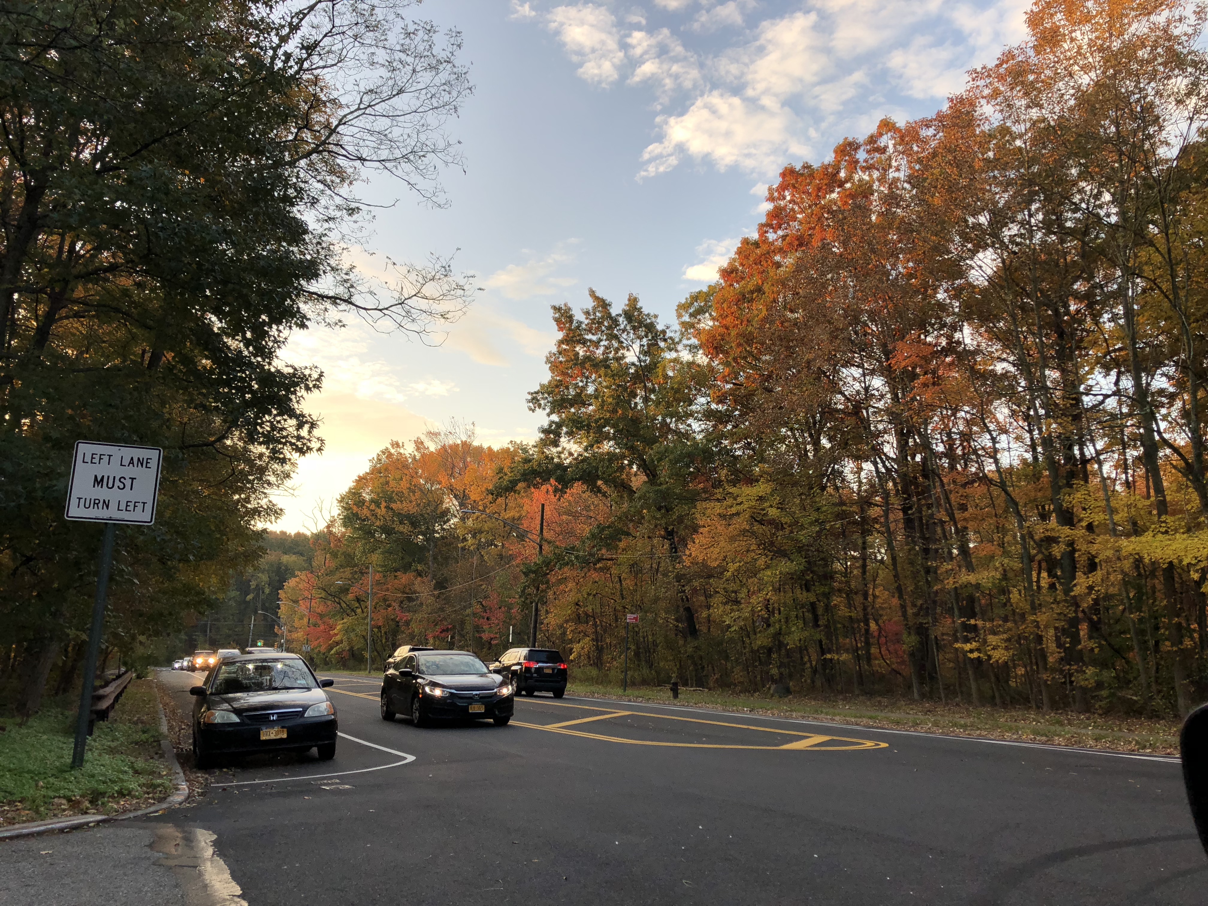 Fall foliage reaches near peek on the South Shore - silive.com