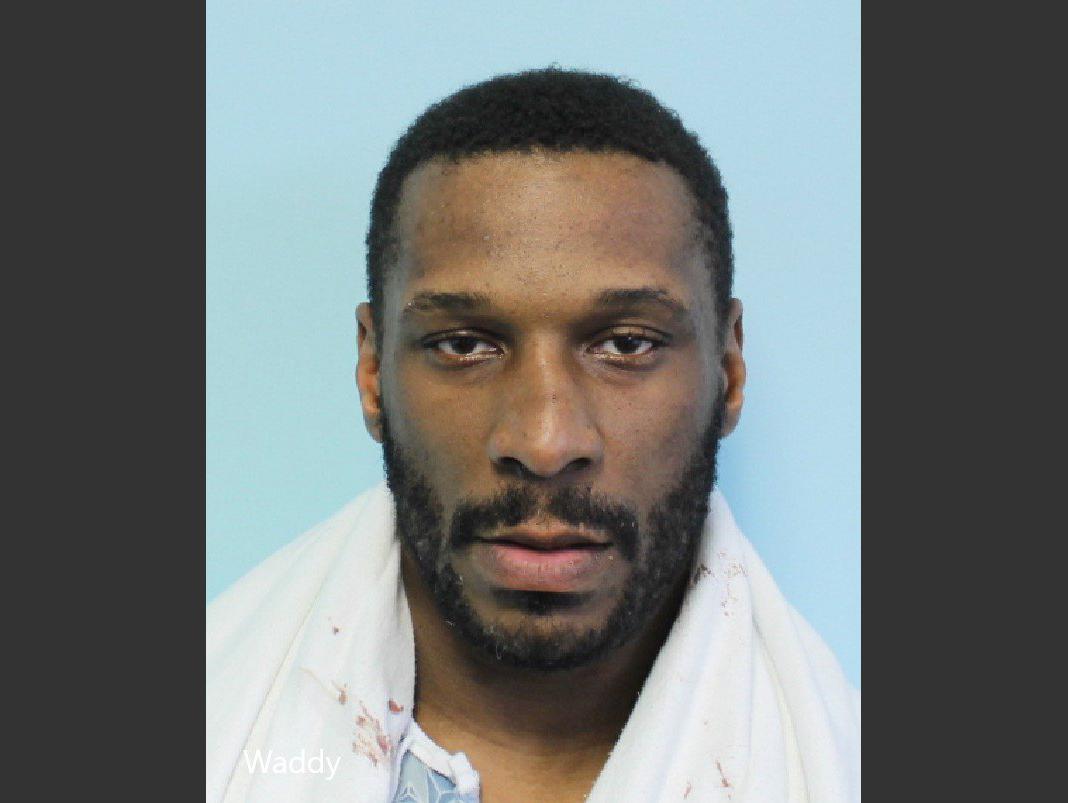 Man fleeing Springfield police rescued from Mill River - masslive.com