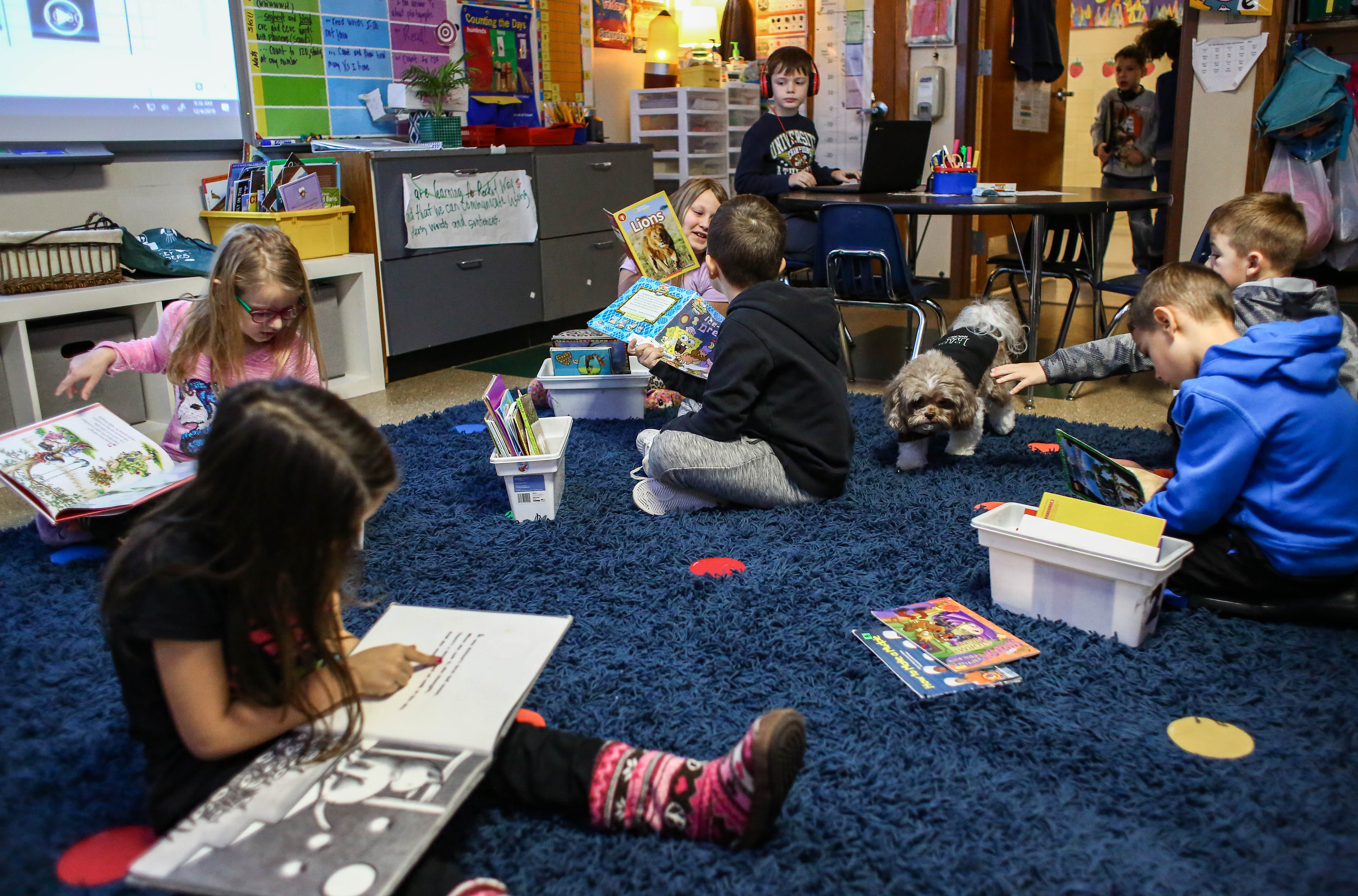 Therapy dog transforms elementary school - mlive.com