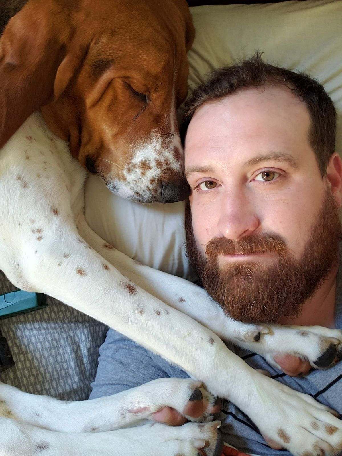 Edgar the hero dog - pennlive.com