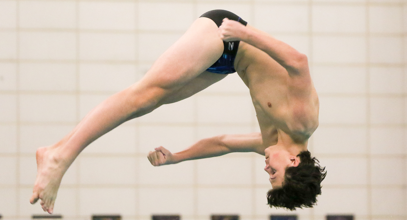 2020 NJSIAA Boys Diving Championship in Skillman on 2/26/2020 - nj.com